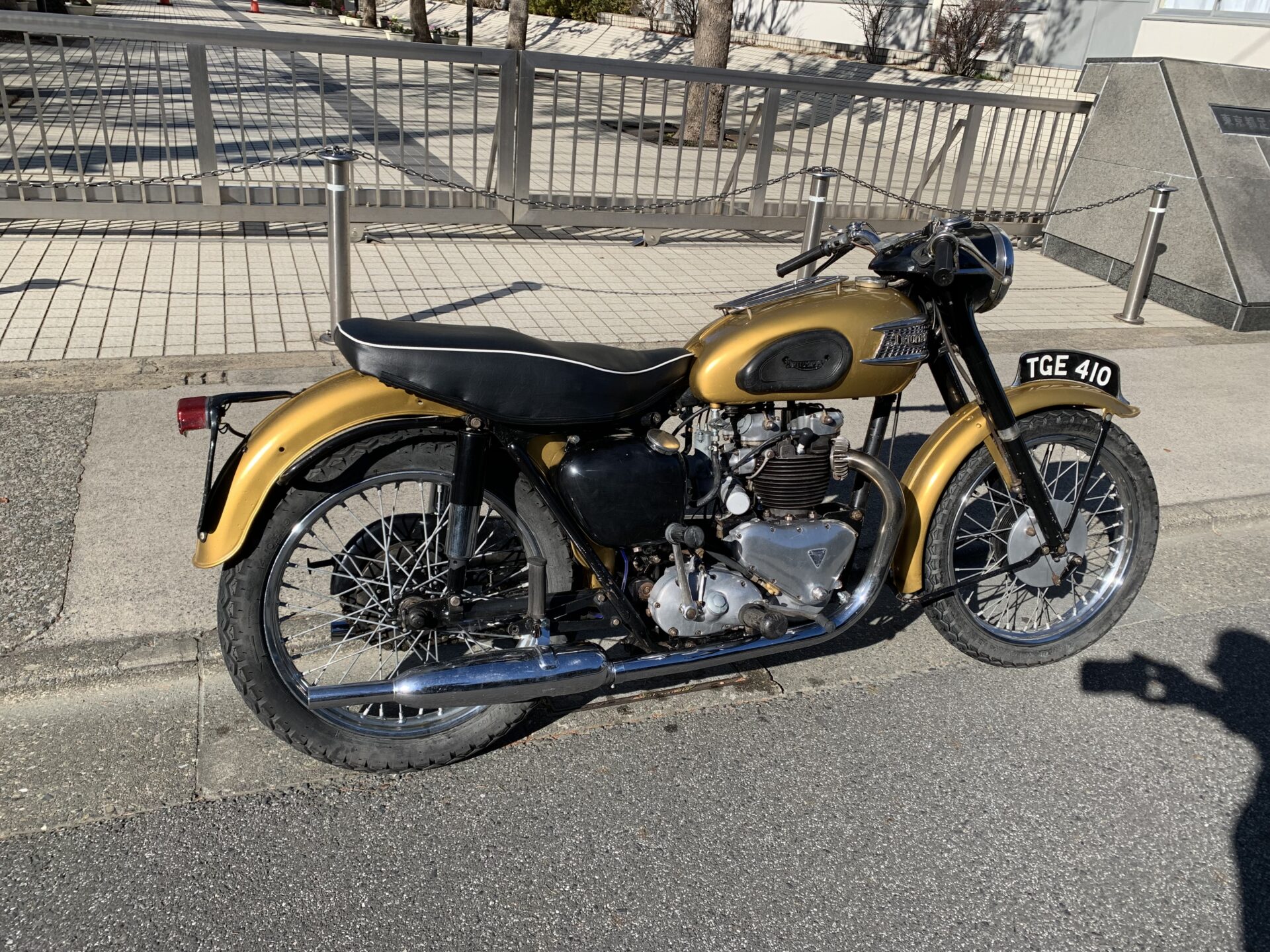 1958 Triumph 6T Thunder Bird.650cc OHV - KNOW THY BEAST