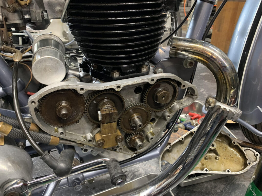 SERVICE - KNOW THY BEAST